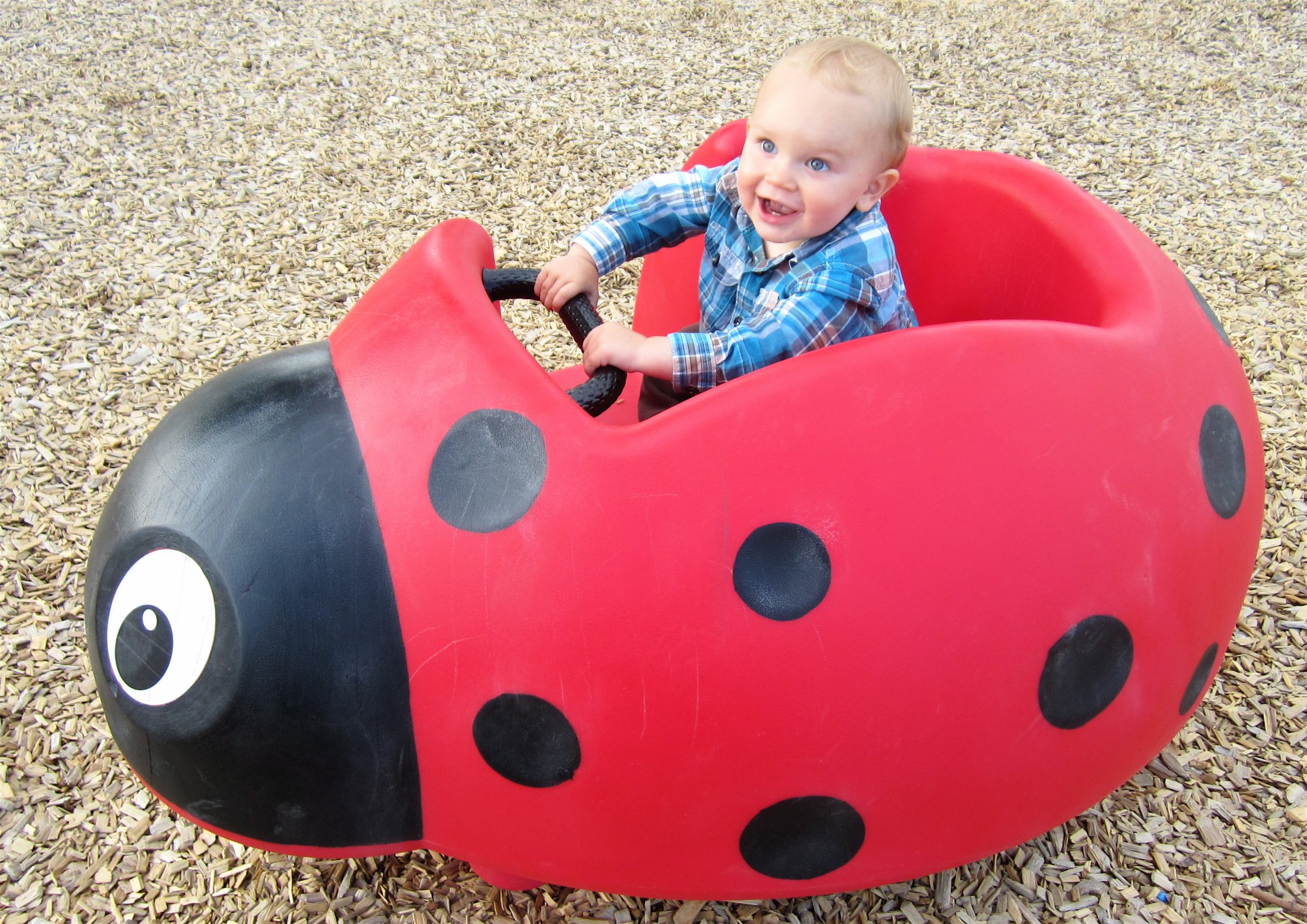 Montessori: Toddler Study of the Color RED - Mama's Happy Hive