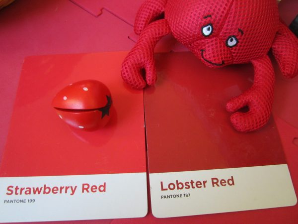 Montessori: Toddler Study of the Color RED - Mama's Happy Hive