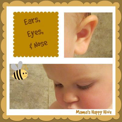 Teaching Human Anatomy to Your Toddler - Mama's Happy Hive