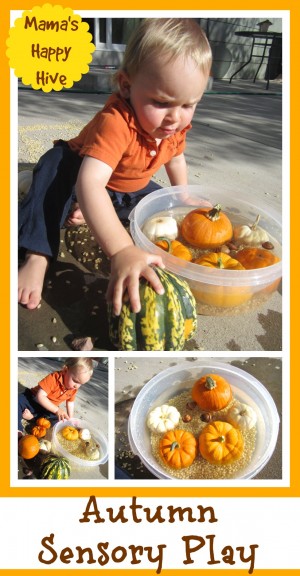 Autumn Sensory Play - Mama's Happy Hive