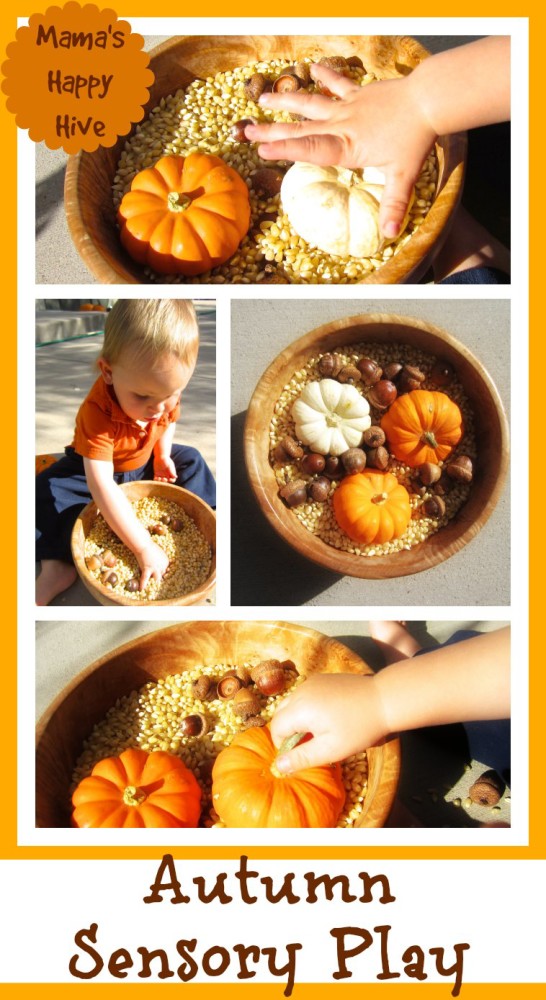 Autumn Sensory Play - Mama's Happy Hive
