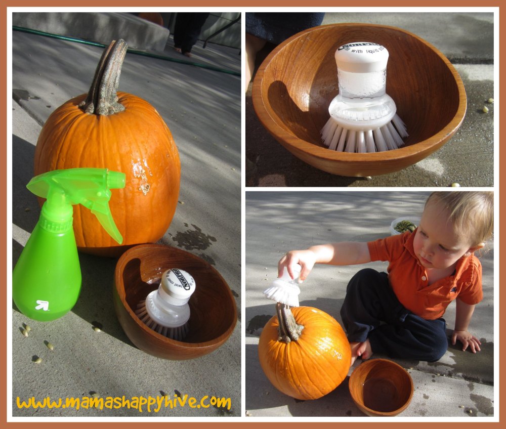 Montessori Fall Fun - Scrub the Pumpkin - Mama's Happy Hive