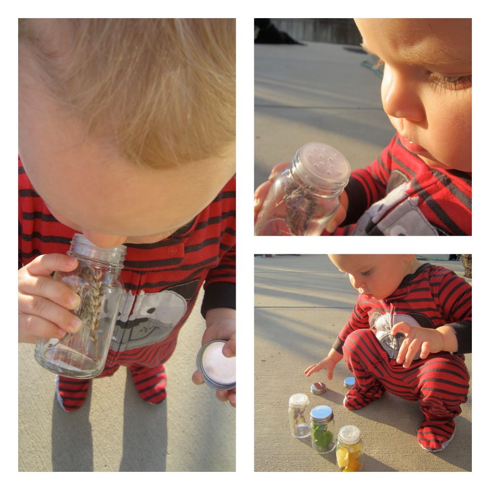 DIY Montessori Inspired Scent Jars - Mama's Happy Hive