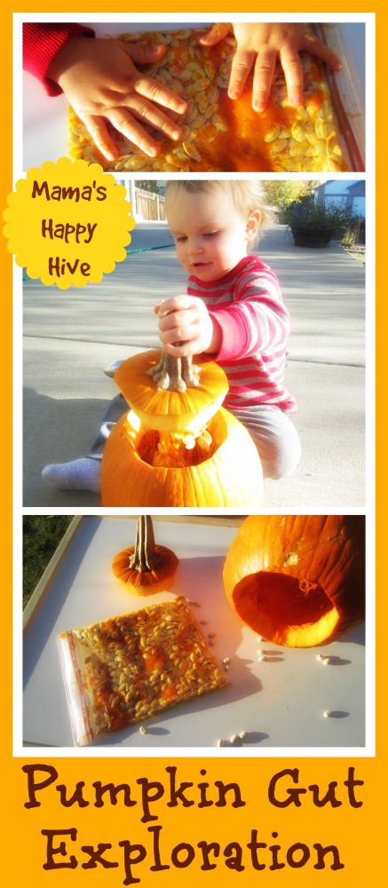 Pumpkin Sensory Play: 15 Ways to Use the Whole Pumpkin - Mama's Happy Hive