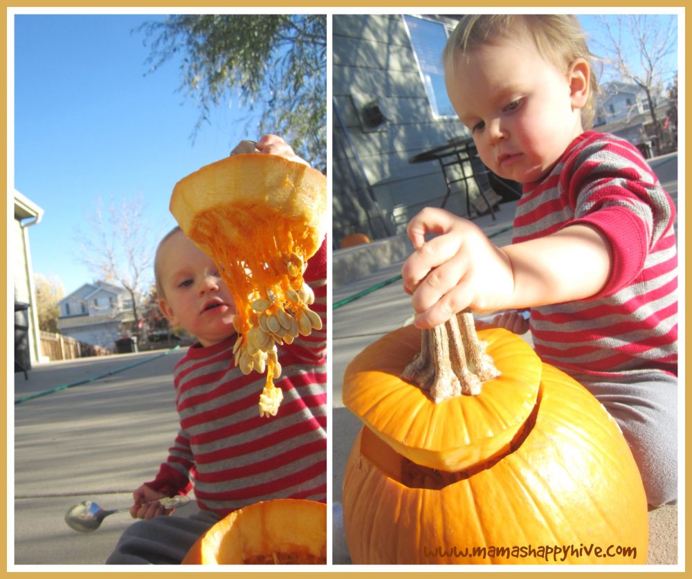 Pumpkin Sensory Play: 15 Ways to Use the Whole Pumpkin - Mama's Happy Hive