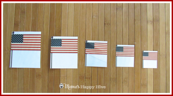 Flag Sort - www.mamashappyhive.com - Mama's Happy Hive