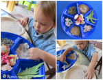 10 Montessori Inspired Ocean Activities - Mama's Happy Hive