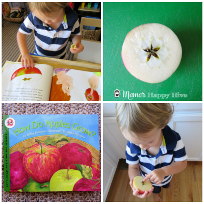 Montessori Inspired Apple Unit - Mama's Happy Hive