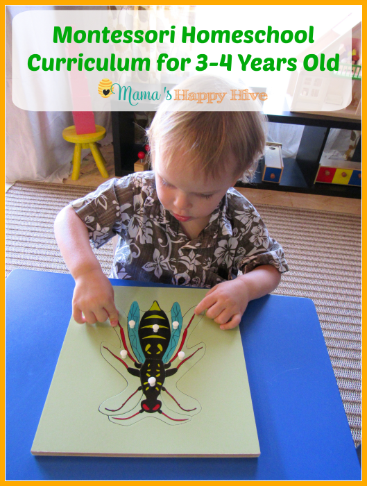 Fun Science Projects For Kids Mama s Happy Hive Fun Science Projects For Kids Mama s Happy Hive