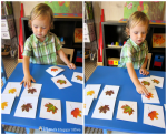 Montessori Inspired Leaf Unit - Mama's Happy Hive
