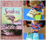 Montessori Inspired Snake Unit - Mama's Happy Hive