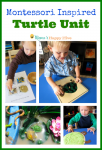 Montessori Inspired Turtle Unit - Mama's Happy Hive
