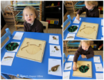 Montessori Inspired Turtle Unit - Mama's Happy Hive