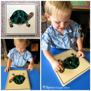 Montessori Inspired Turtle Unit - Mama's Happy Hive