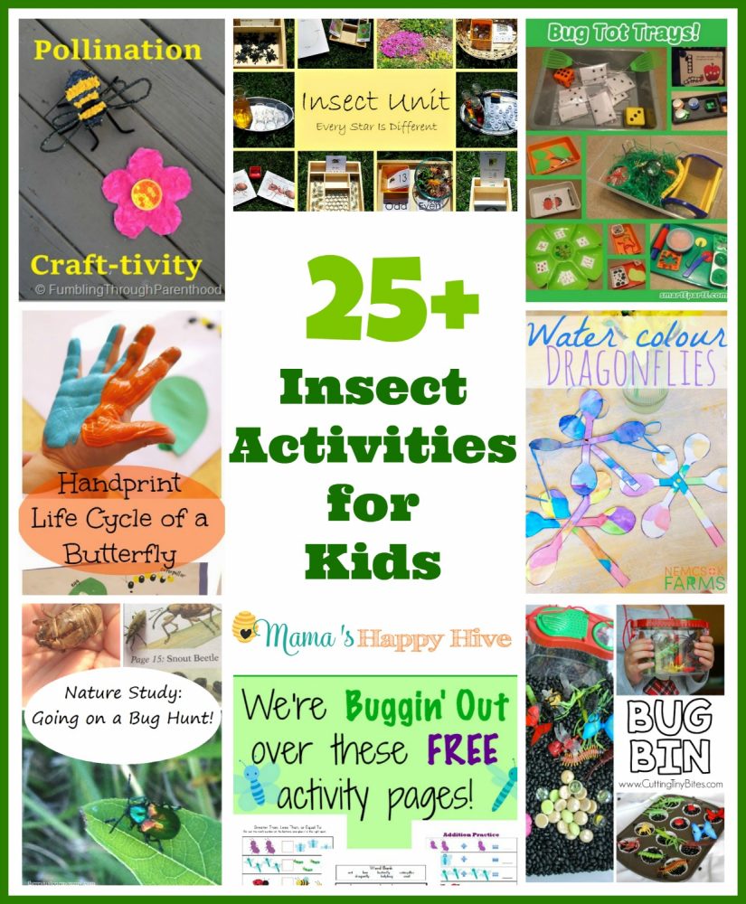 25 Insect Activities for Kids - Mama's Happy Hive