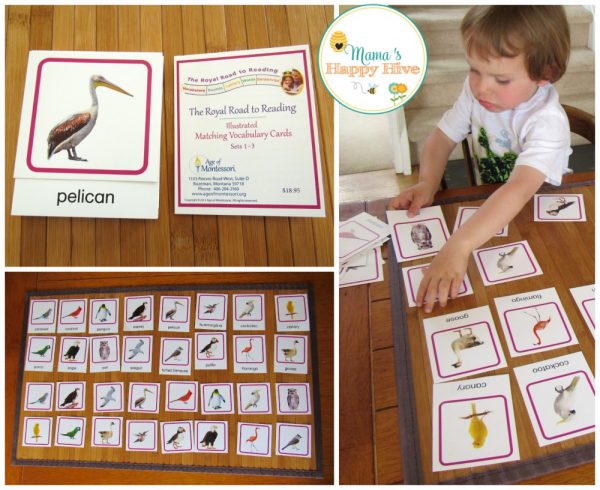 Montessori Inspired Bird Unit - Mama's Happy Hive