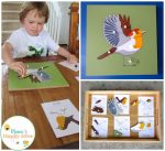 Montessori Inspired Bird Unit - Mama's Happy Hive