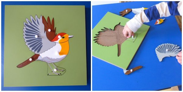 Favorite Montessori Zoology Puzzles