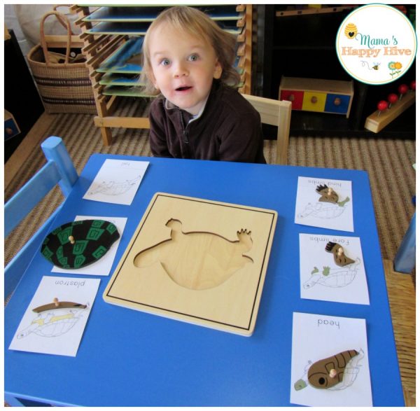 Favorite Montessori Zoology Puzzles