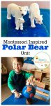 Montessori Inspired Polar Bear Unit