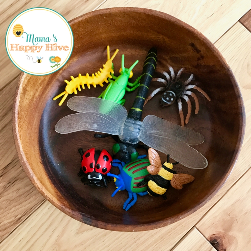 Discovery Baskets Insects - Mama's Happy Hive