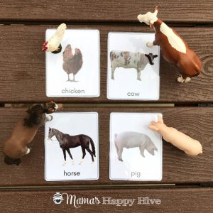 Montessori Farm Life 3-Part Cards and Unit Study Resources