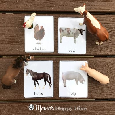 Montessori Farm Life 3-Part Cards and Unit Study Resources