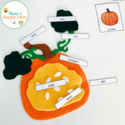 DIY Felt Pumpkin Parts and Life Cycle with Printables