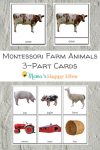 Montessori Farm Life 3-Part Cards and Unit Study Resources