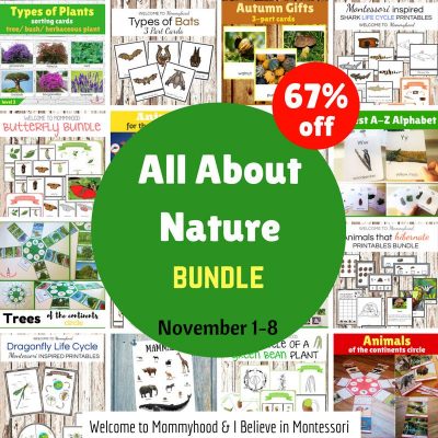 All About Nature Bundle Printables at an Amazing Price - 1,000+ Pages!