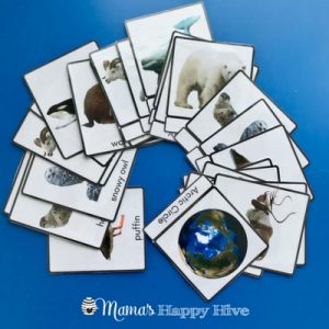 Montessori Arctic Activities and Printables including Polar Bears