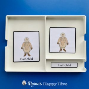 Montessori Arctic Activities and Printables including Polar Bears