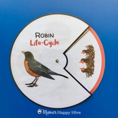 Spring Baby Bird Craft and Montessori 3-Part Card Printable