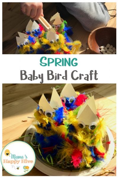 Spring Baby Bird Craft and Montessori 3-Part Card Printable