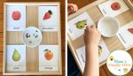 Montessori Inspiration Fruit Science for Kids