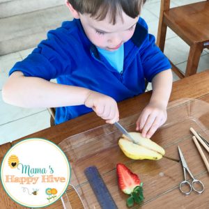 Montessori Inspiration Fruit Science for Kids