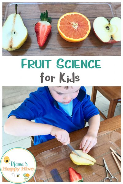 Montessori Inspiration Fruit Science for Kids