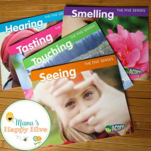 List of Montessori Sensorial Materials for Ages 2.5 to 6.5 Years Old