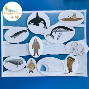 Arctic Activities and Sensory Play for Kids with Printables