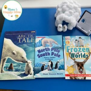 Arctic Activities and Sensory Play for Kids with Printables