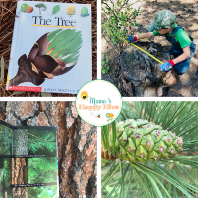 Tips for Forest School and Outdoor Learning - Mama's Happy Hive
